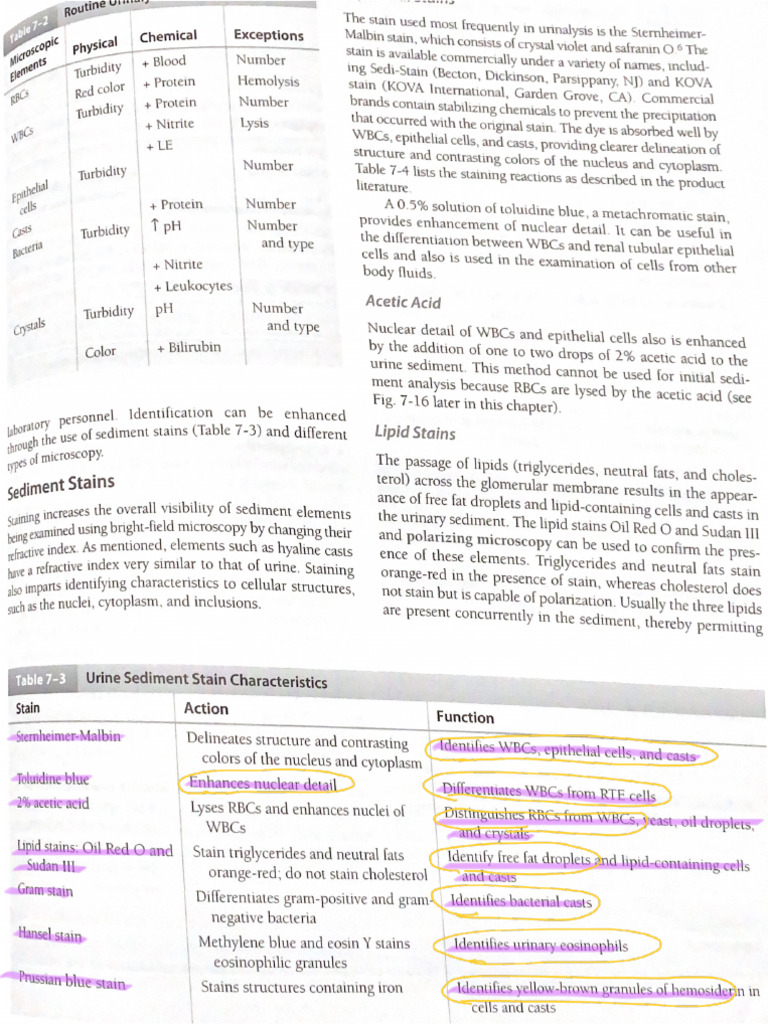 Microscopic Examination Aubf Lec | PDF Microscopic Examination Aubf Lec | PDF