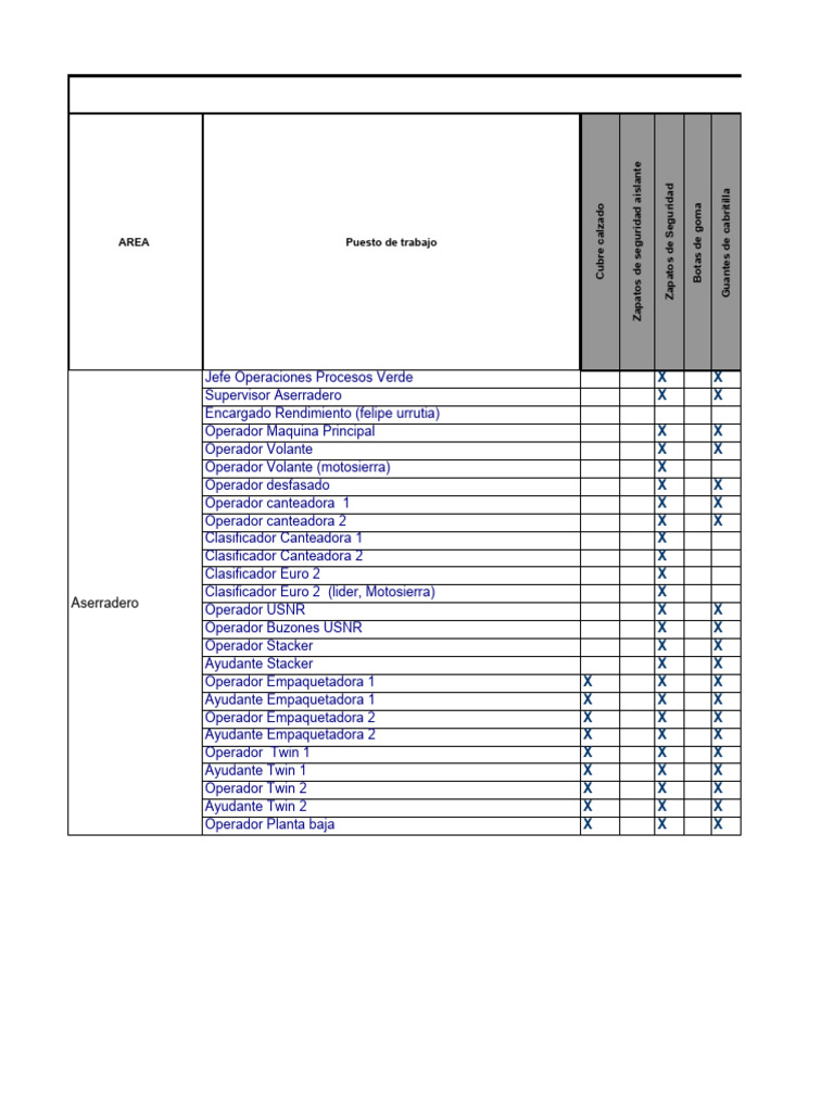Formato Matriz de EPP Por Cargo | PDF | Ropa | Moda