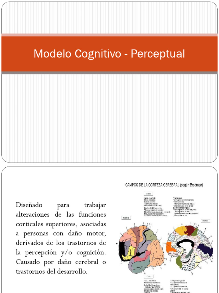 Modelo Cognitivo-Perceptual | PDF | Percepción | Cognición