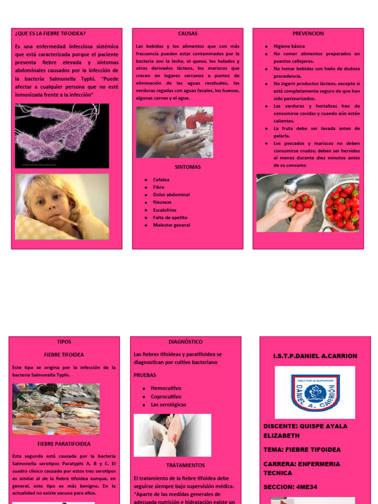 Triptico de Fiebre Tifoidea | PDF | Salmonela | Especialidades Medicas
