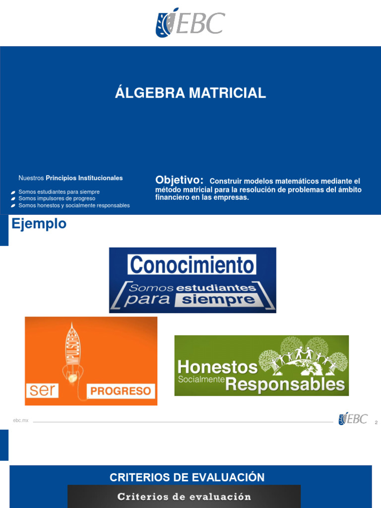 U1. Marco Conceptual de Alg Matr | PDF | Matriz (Matemáticas) | Matemáticas