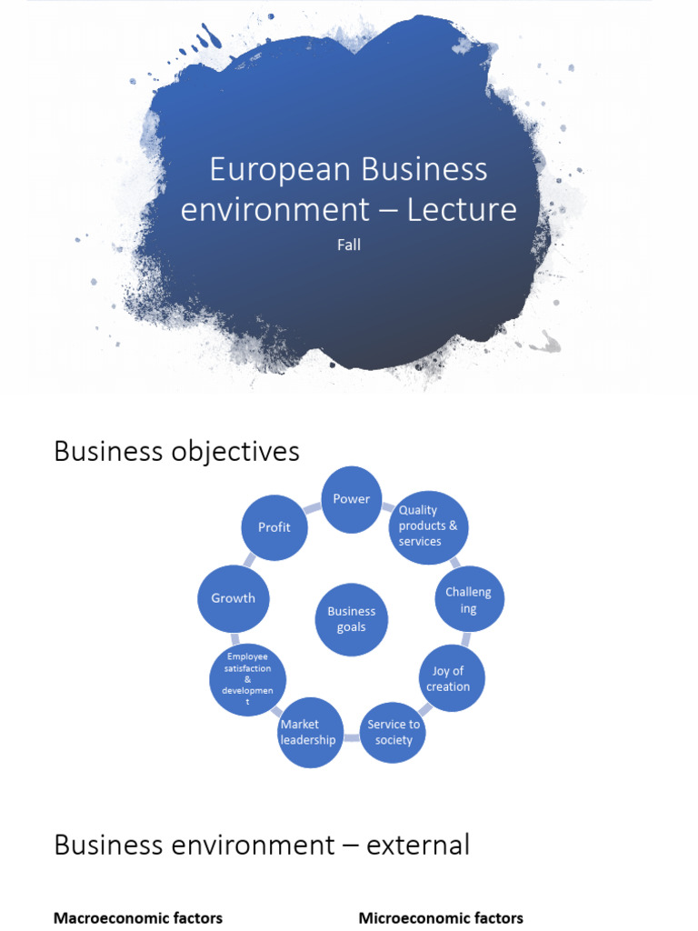 Overview of the European Business Environment | PDF | European Union ...