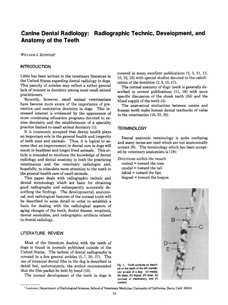 Canine Dental Radiology - Radiographic Technic, Development, and ...