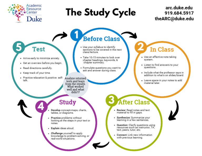 The Study Cycle - 0 | PDF | Human Communication | Learning