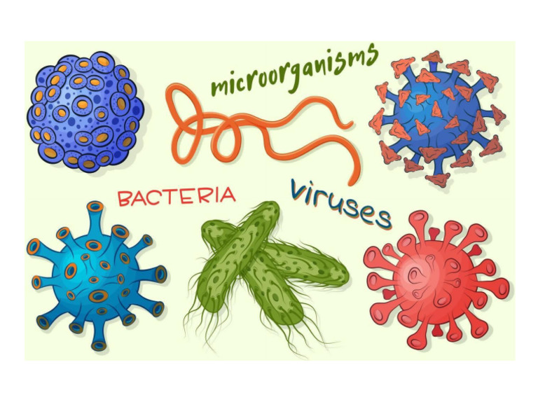 Microorganism o | PDF