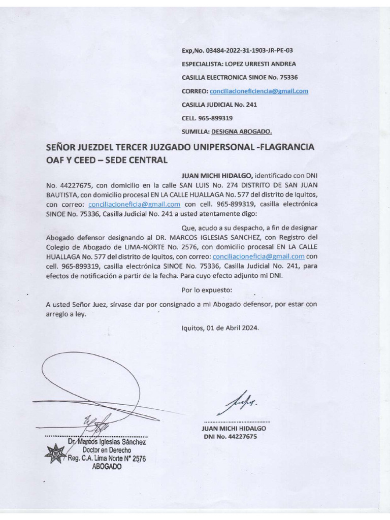 Designa Abogado | PDF