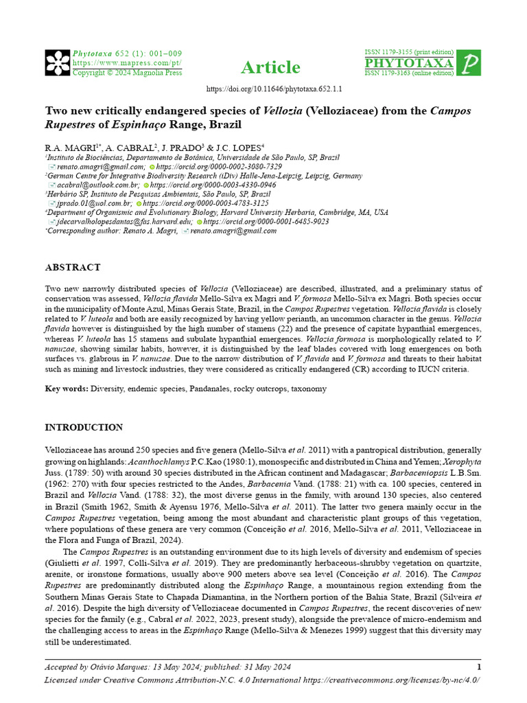 Two New Critically Endangered Species of Vellozia (Velloziaceae) From ...