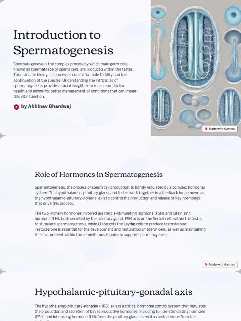 Introduction To Spermatogenesis | PDF | Luteinizing Hormone | Testicle