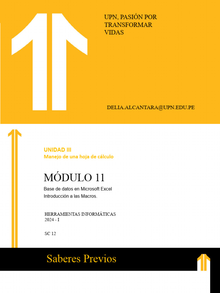 MÓDULO 11 | Descargar gratis PDF | Microsoft Excel | Bases de datos