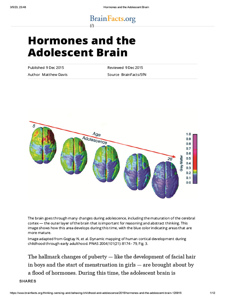 Hormones and The Adolescent Brain | PDF | Brain | Axon