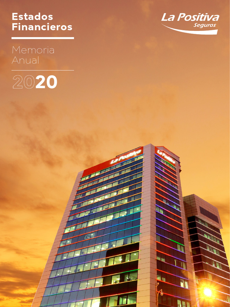 Estados Financieros 2020 | PDF | Auditoría | Seguro