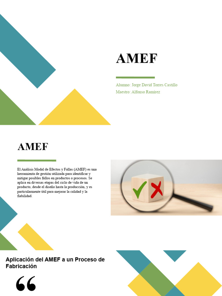 AMEF | PDF