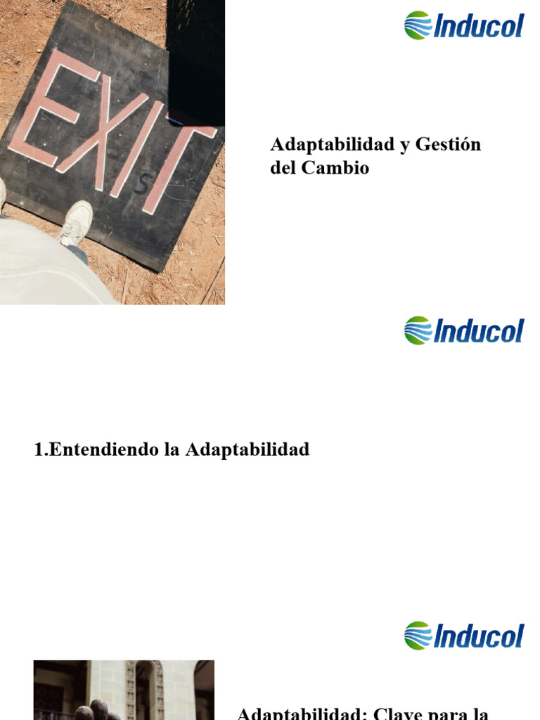 Adaptabilidad y Gestión del Cambio | PDF | Planificación | Liderazgo