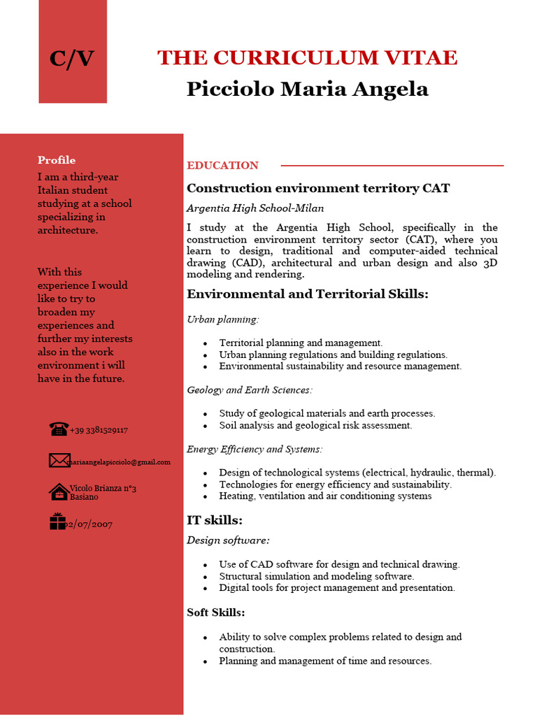 CURRICULUM VITAE ENGLISH | PDF | Computer Aided Design