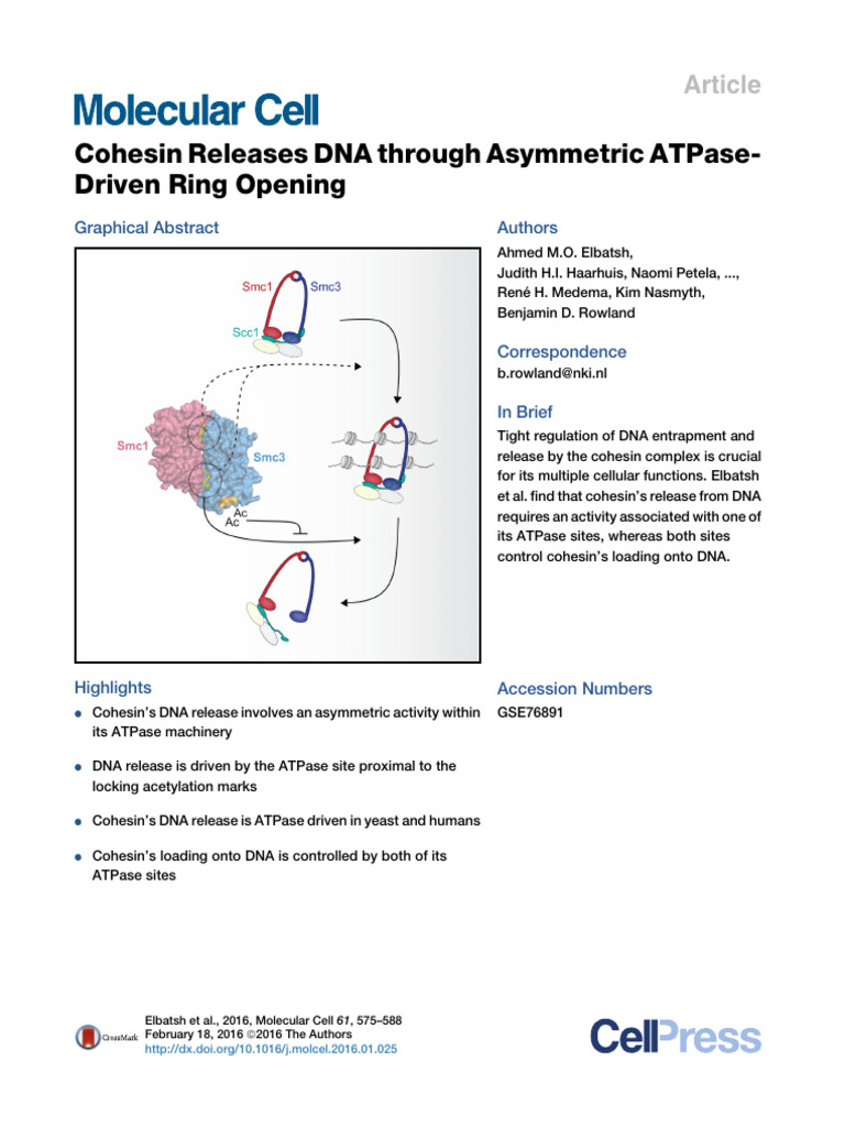 Cohesin Releases DNA Through Asymmetric ATPase Dri | Download Free PDF ... Cohesin Releases DNA Through Asymmetric ATPase Dri | Download Free PDF ...