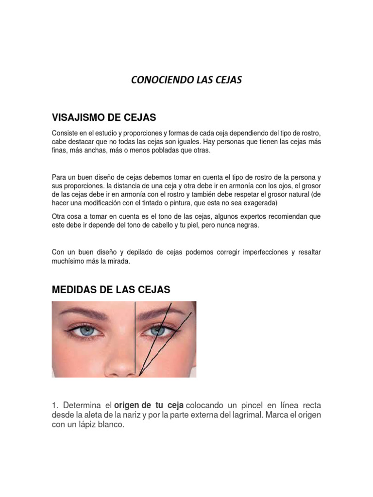 Conociendo Las Cejas | PDF | Ceja