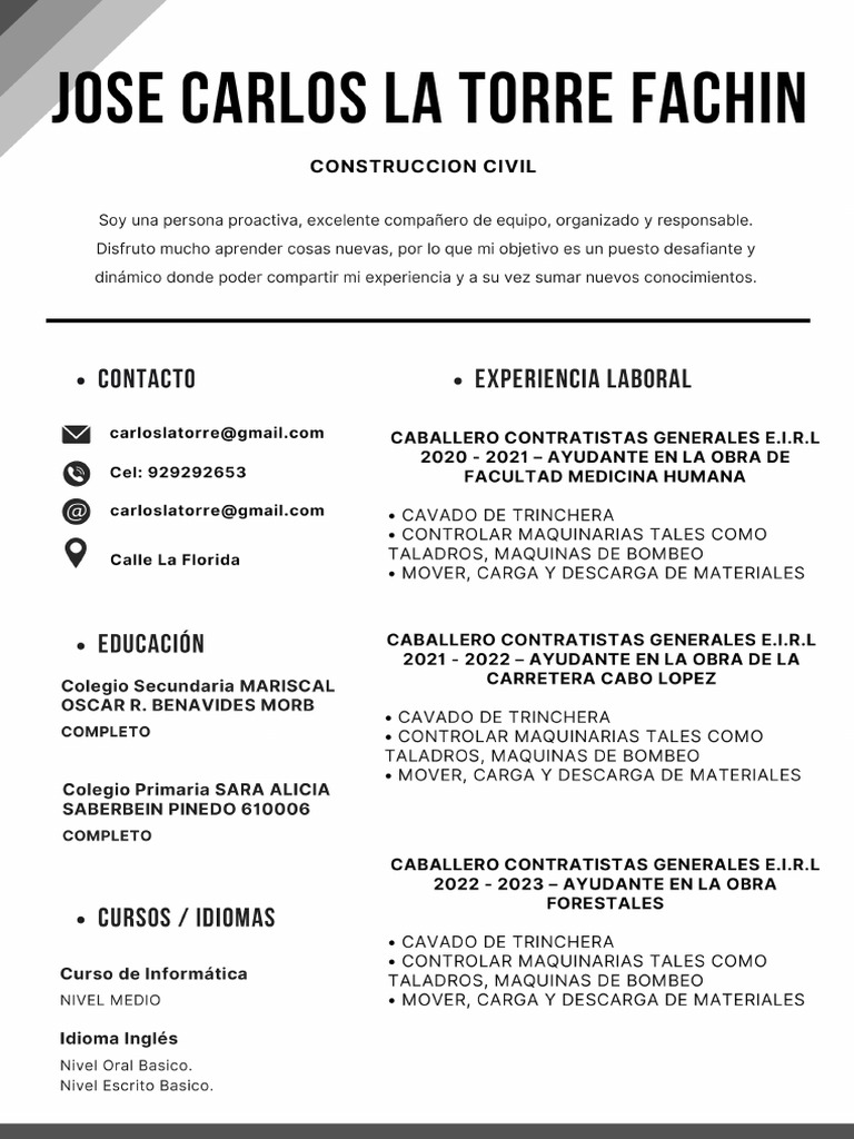 CV Carlos La Torre | PDF
