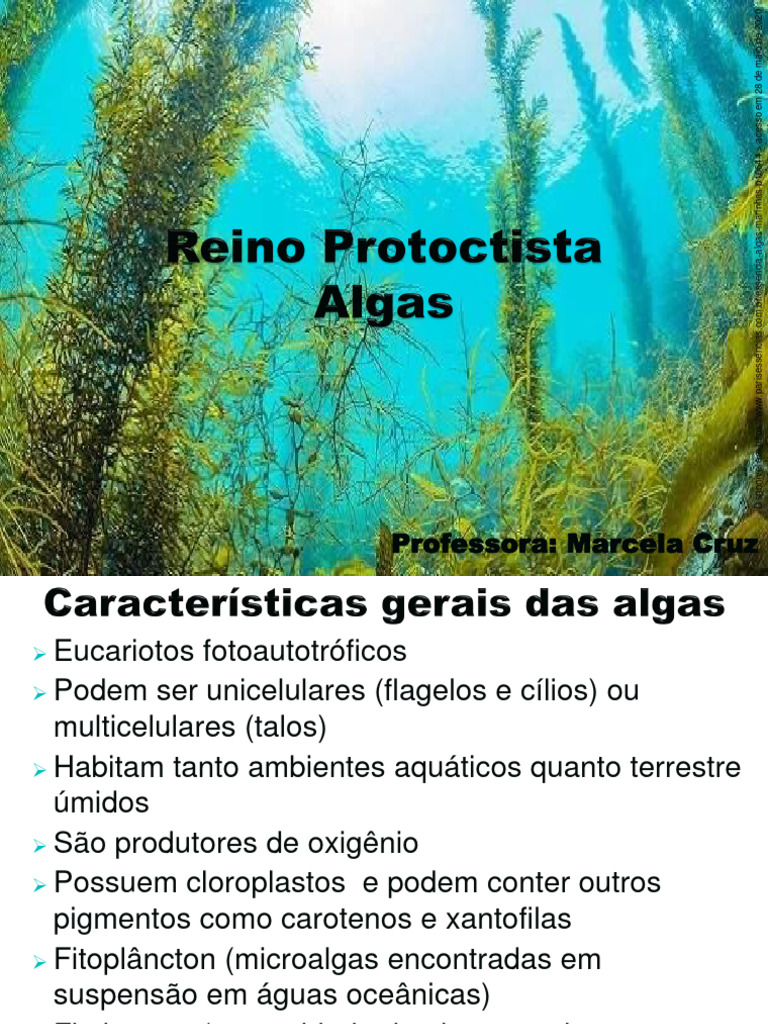 Reino Protoctista - Algas | PDF | Algas | Parede celular