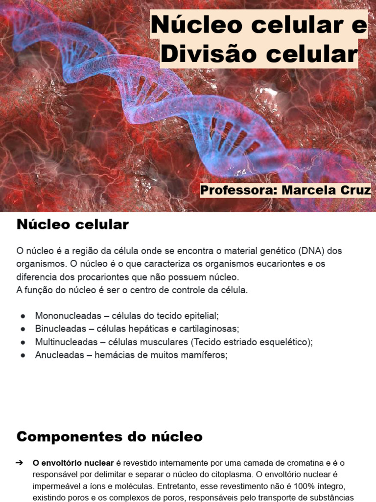 Núcleo Celular e Divisão Celular | PDF | Meiose | Núcleo celular