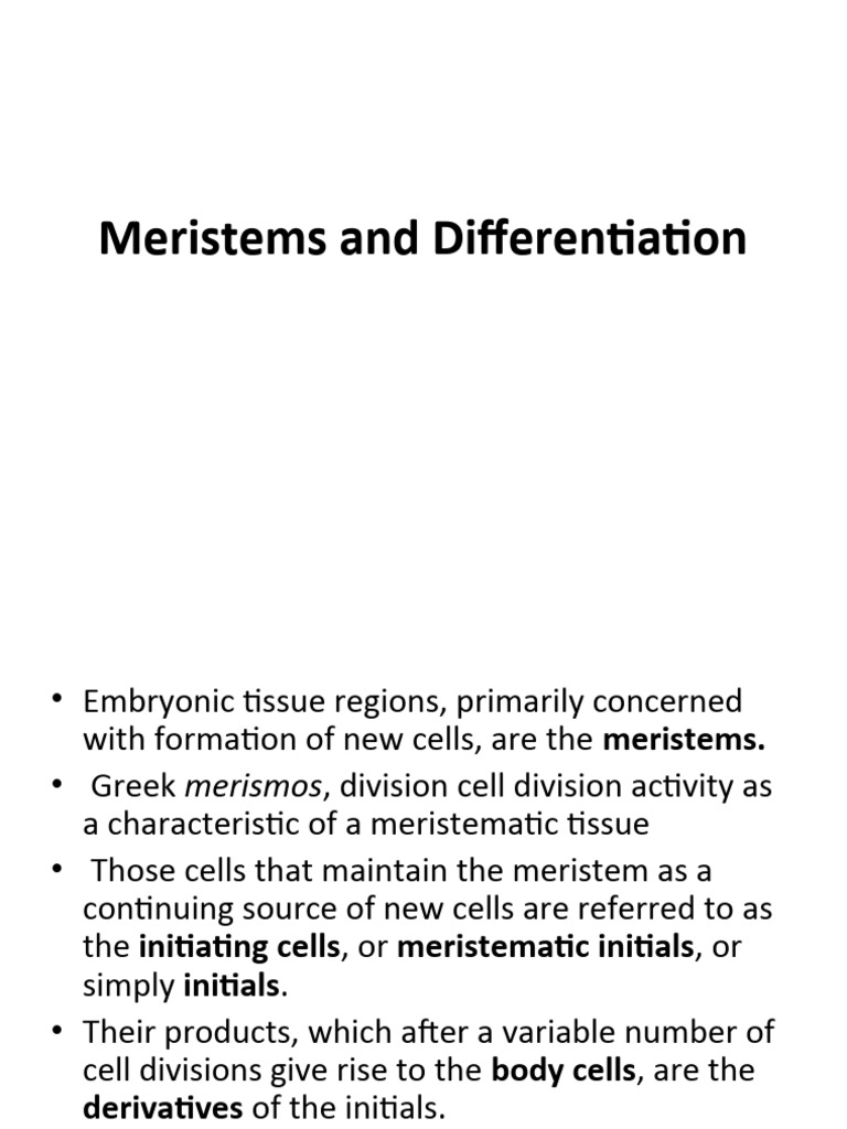 Meristems and Differentiation | PDF | Tissue (Biology) | Biology