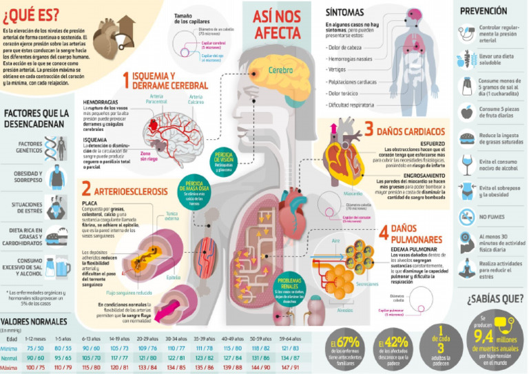 Organizador Visual Comu Final | PDF