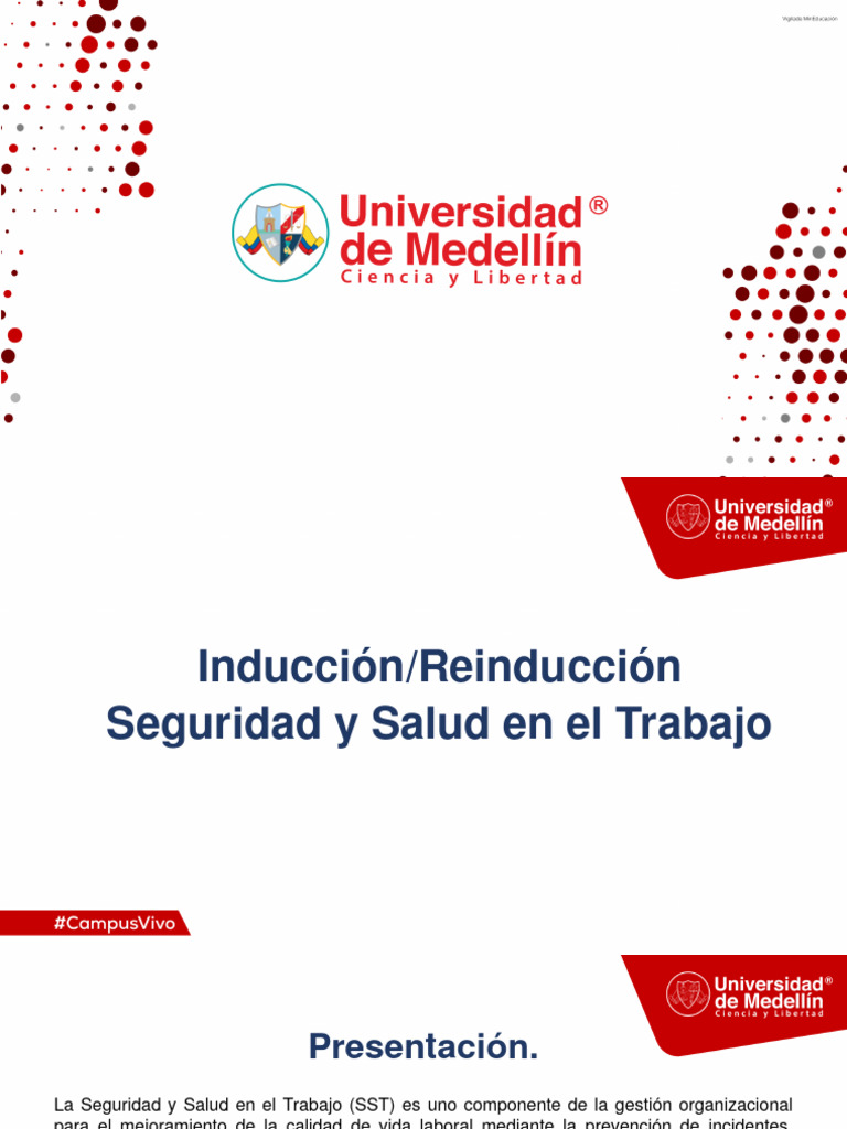 PP-SST-02 Induccion - SST V2 | PDF