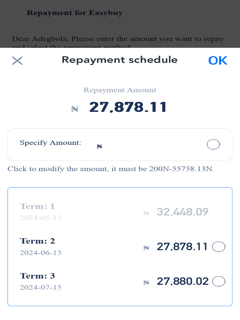 Repayment | PDF | Business | Finance & Money Management