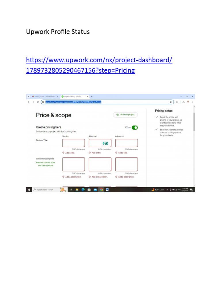 Upwork Profile Status Overview | PDF