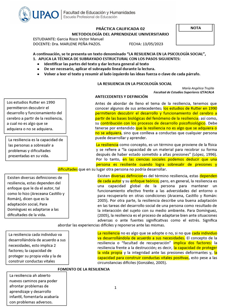 S5 - Práctica - S5 - Subrayado Estructural - Diagrama de Llaves-1 | PDF | Resiliencia ...