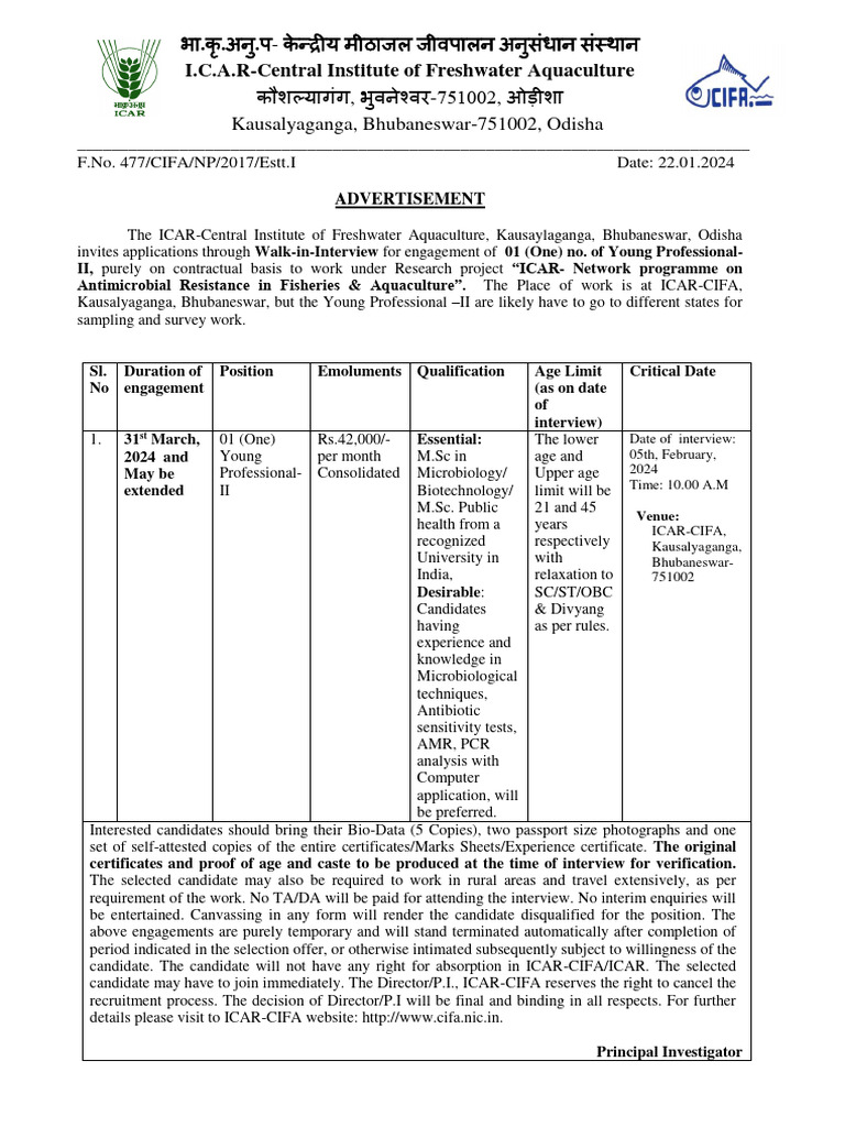 YP-II AMR project 2024 | PDF