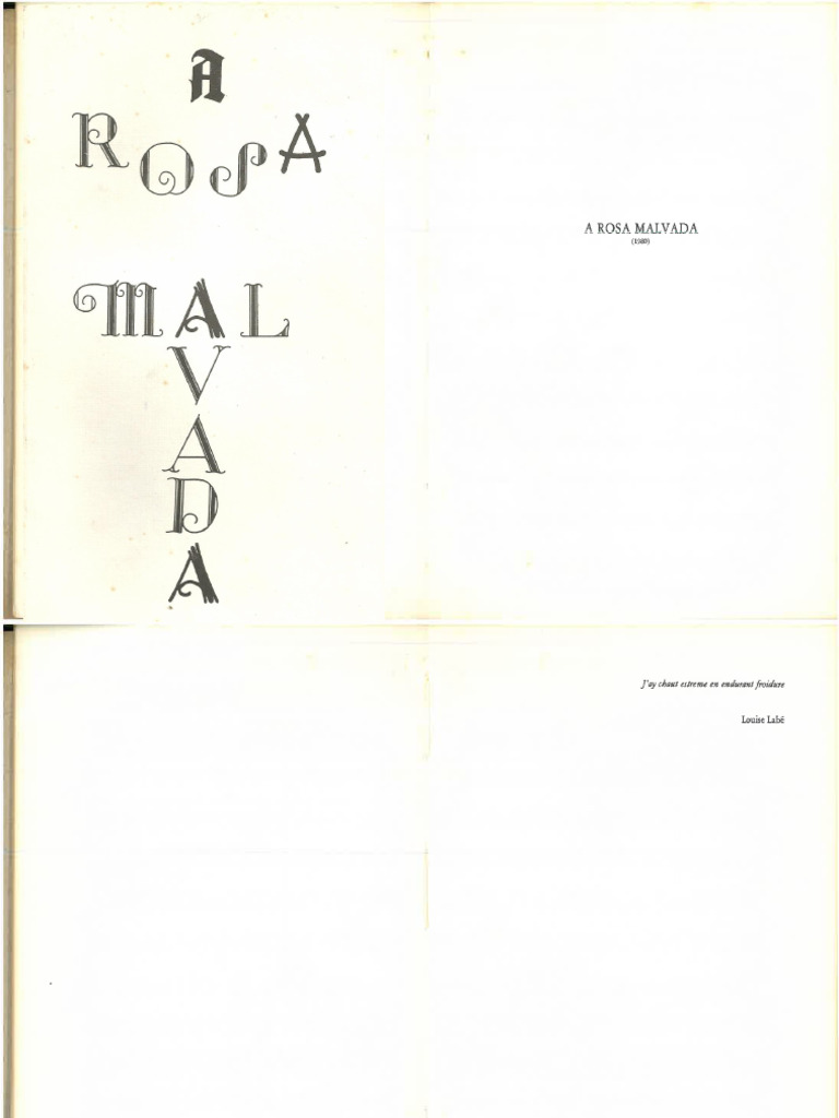 A Rosa Malvada Maria Lucia Alvim | PDF