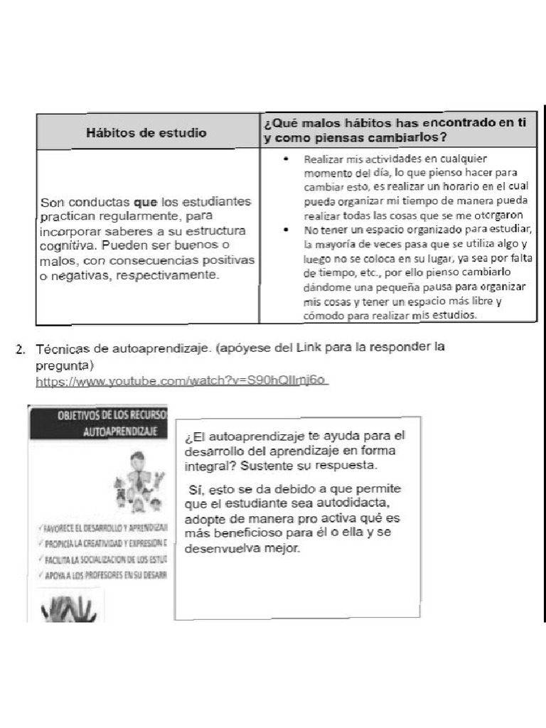 Tarea de Lenguaje | PDF