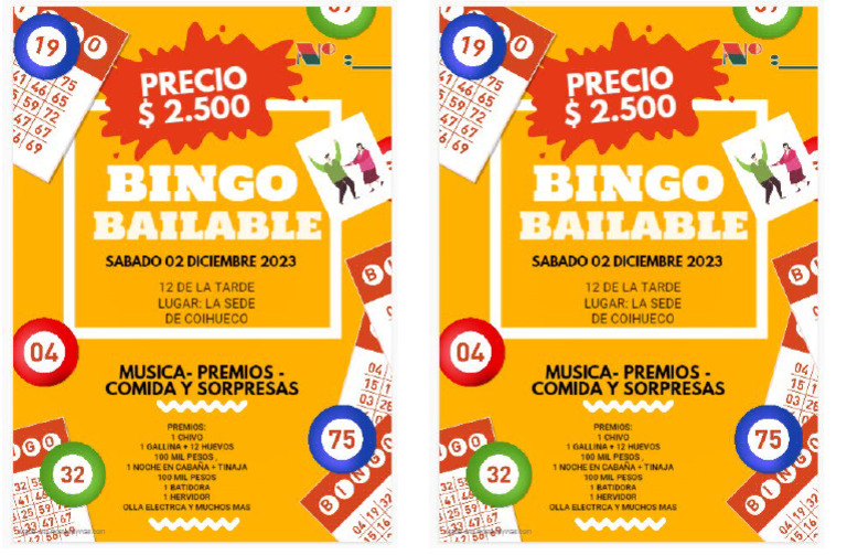 Bingo Bailable | PDF