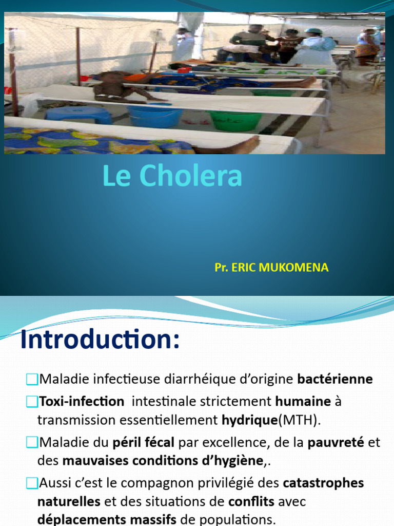 Apprendre Des Souches de Choléra - 2024 | PDF | Choléra | Pandémie