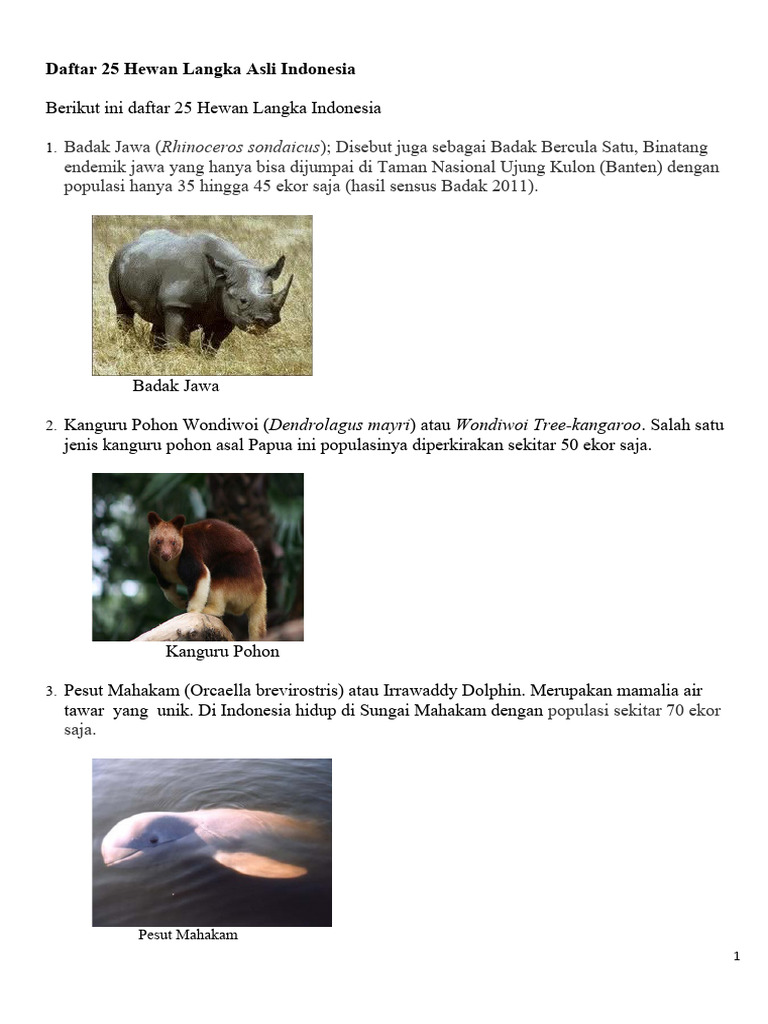Daftar 25 Hewan Langka Asli Indonesia | PDF | Griya & Taman | Kesehatan Holistik