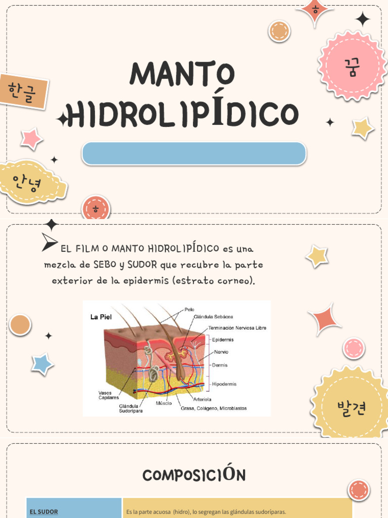 Manto Hidrolipídico | PDF