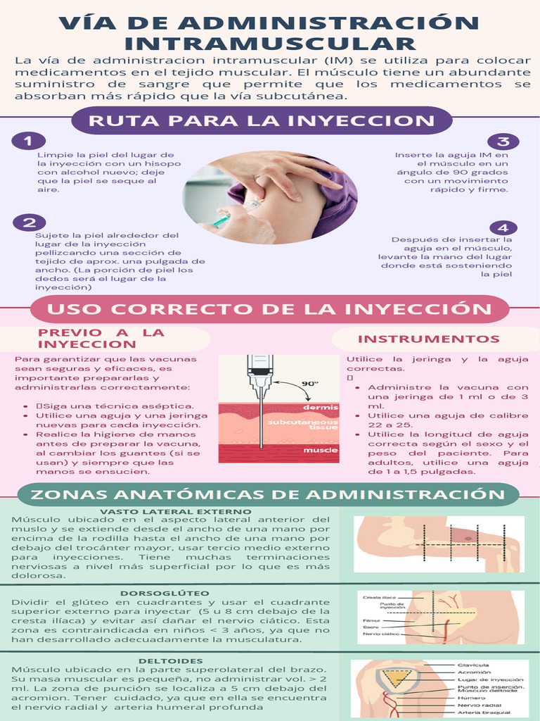 Instrucciones para Inyección Intramuscular | PDF | Inyección (medicina ...