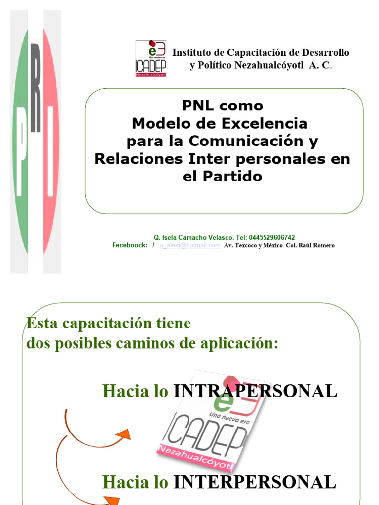 PNL 2 | PDF | Comunicación | Cerebro