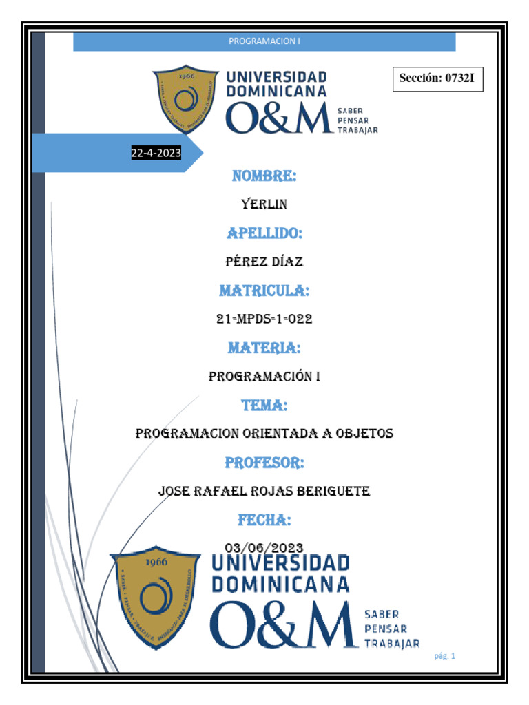 Programacion I Programacion Orientada A Objeto Pdf Objeto Informática Programación