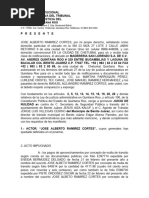 Ejemplo de Demanda de Nulidad | PDF | Caso de ley | Demanda judicial