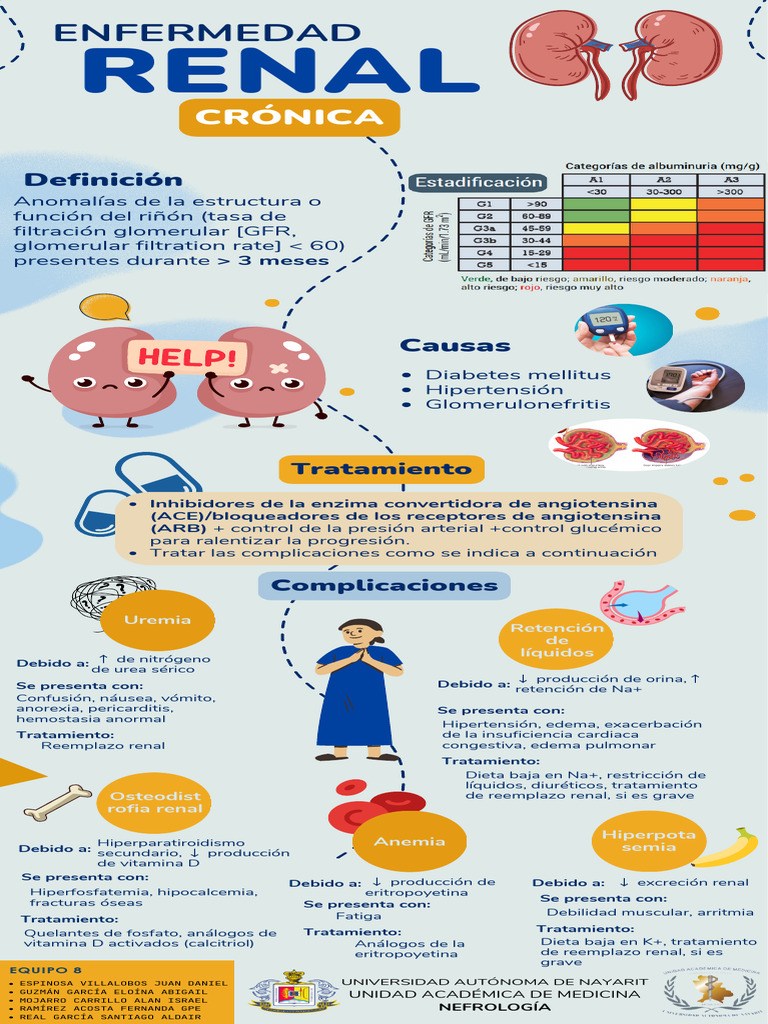Infografía Erc - Equipo - 8 | PDF | Enfermedad renal crónica ...