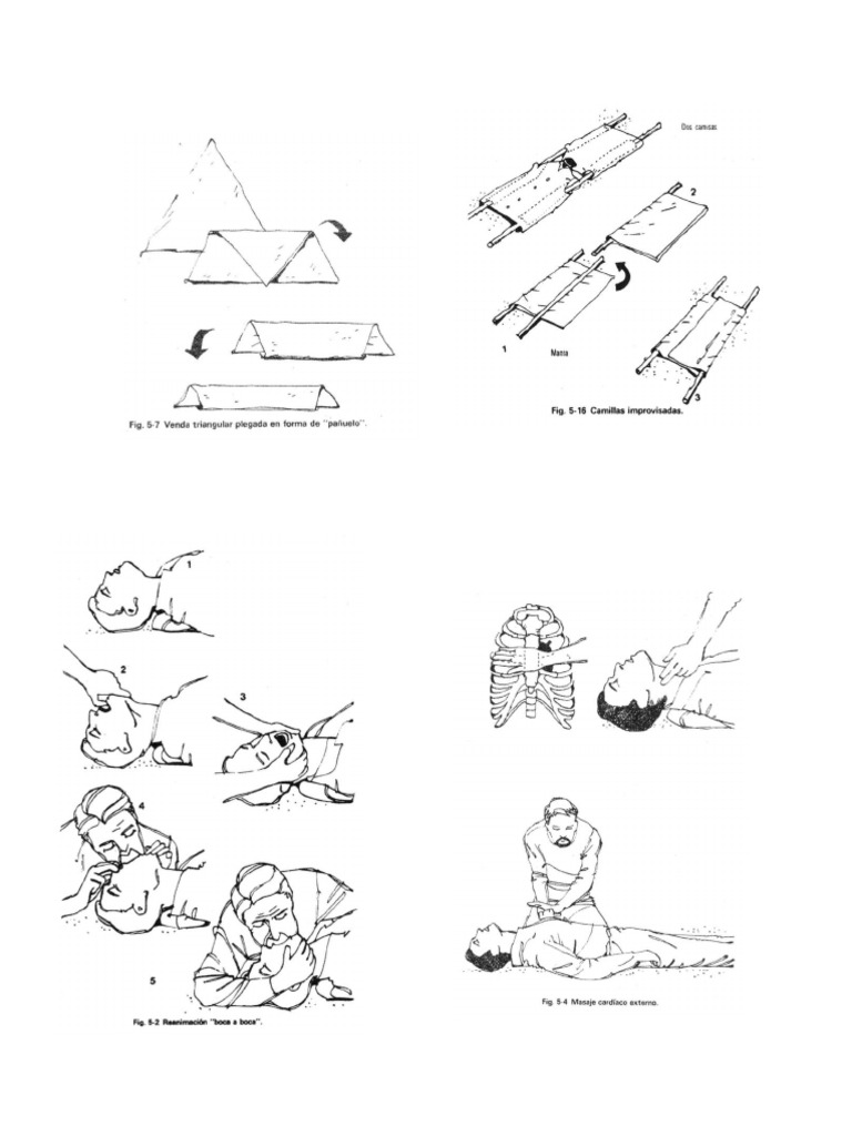 Imágenes SAR Paux | PDF