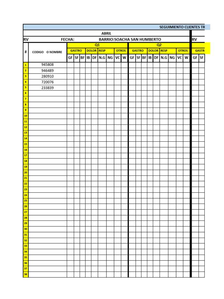Formato de Seguimientos 2 | PDF