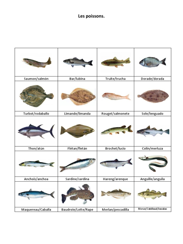 Les Poissons Traduction | PDF | Livres de cuisine, nourriture et vin