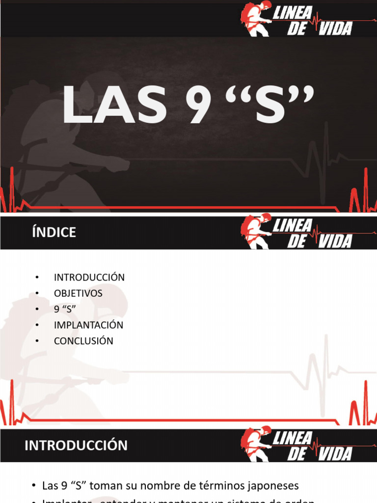 Las 9 "S" | PDF