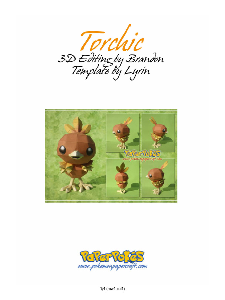 Torchic A4 unlined shiny | PDF | Birds