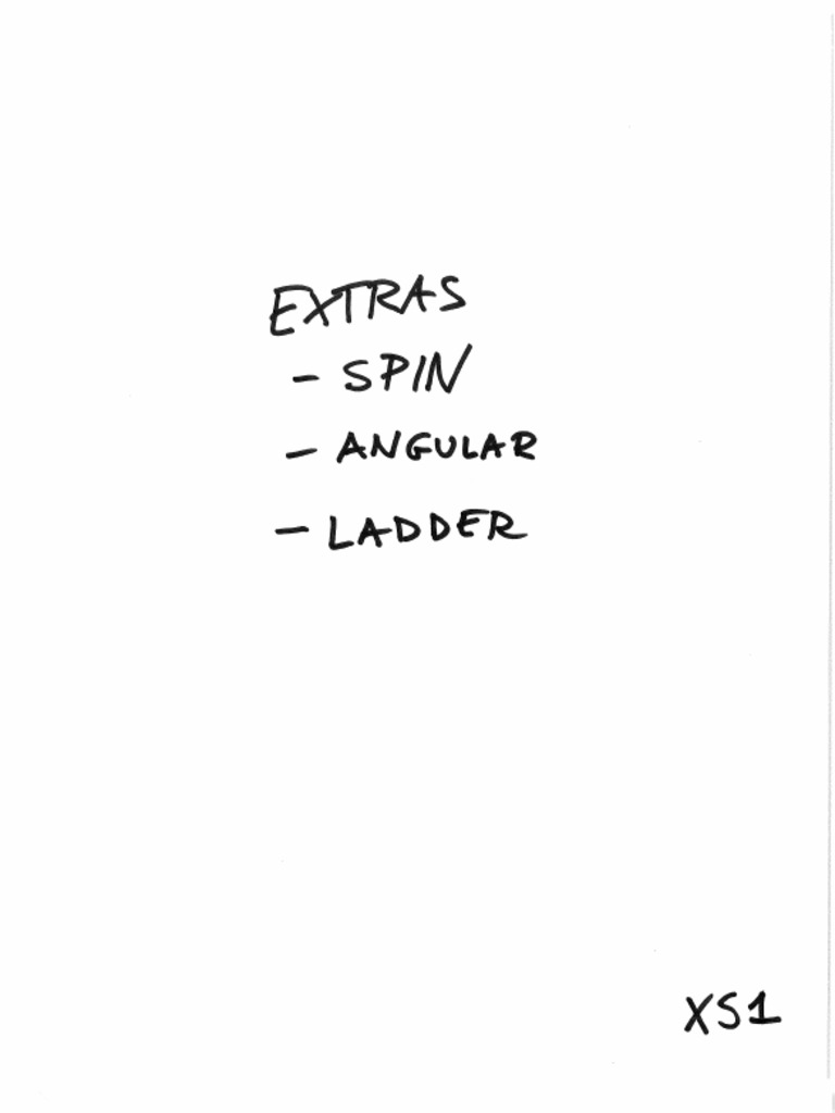 XS Spin Angular Ladder | PDF