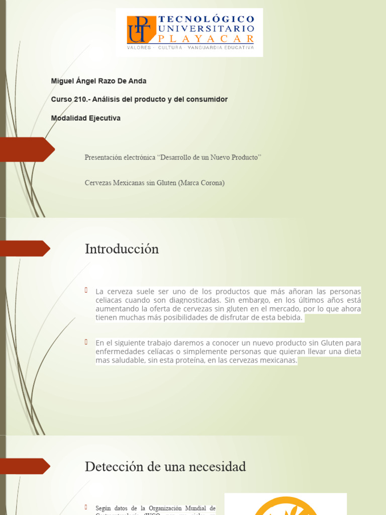 Miguel Ángel Razo de Anda Desarrollo de Producto Borrador | PDF ...