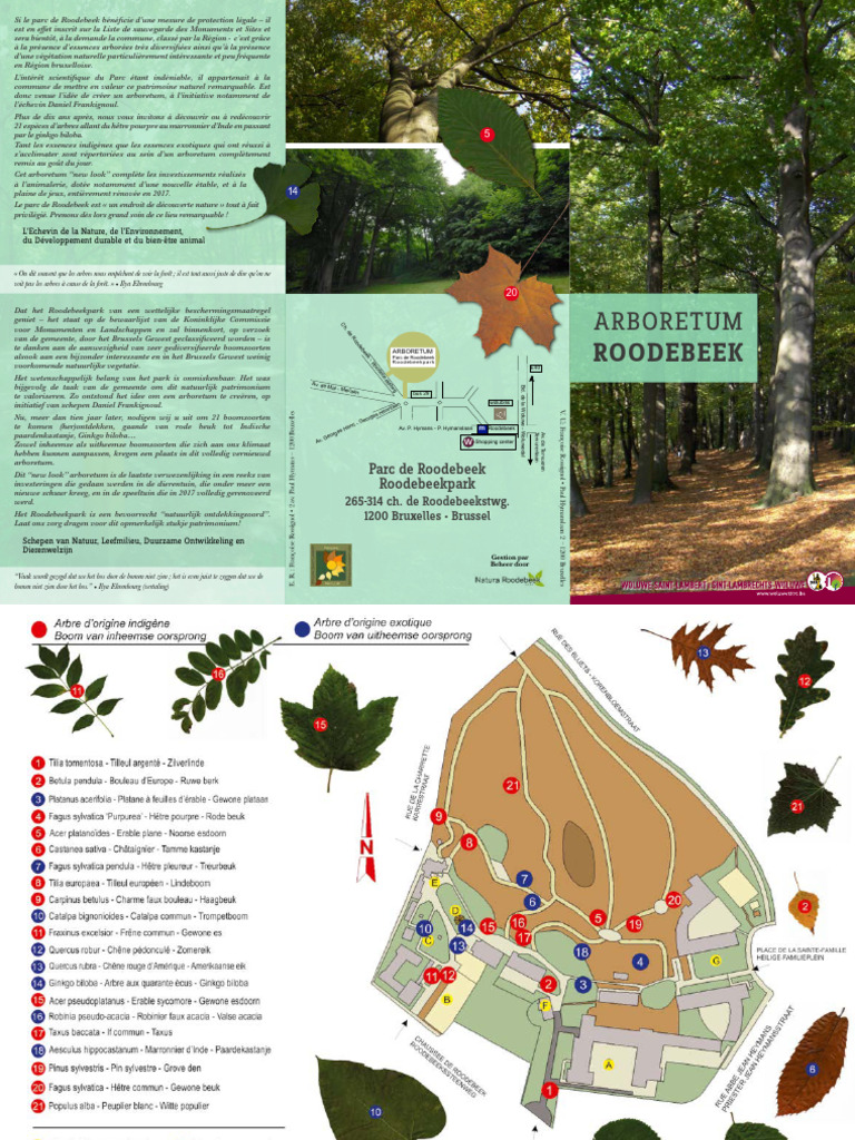 Flyer Arboretum | PDF