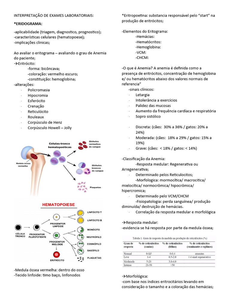 Interpretação de Exames Laboratoriais | PDF | Anemia | Medicina Clínica